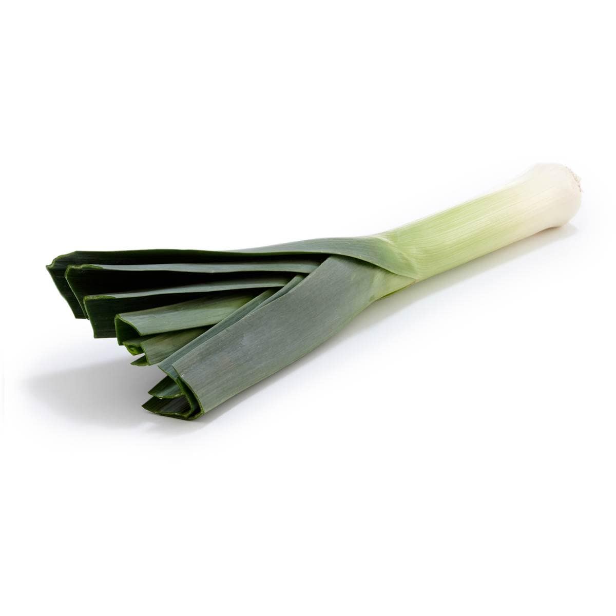 Calories in Leek Fresh calcount